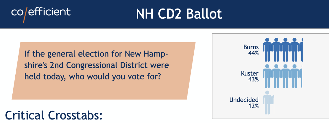Kuster Trailing in New NHJournal Poll, With Hassan Tied and Leavitt ...