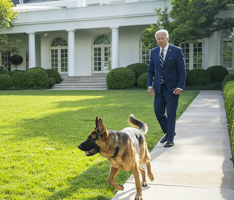 A Quiz for Presidents Day: Presidential Pets - NH Journal