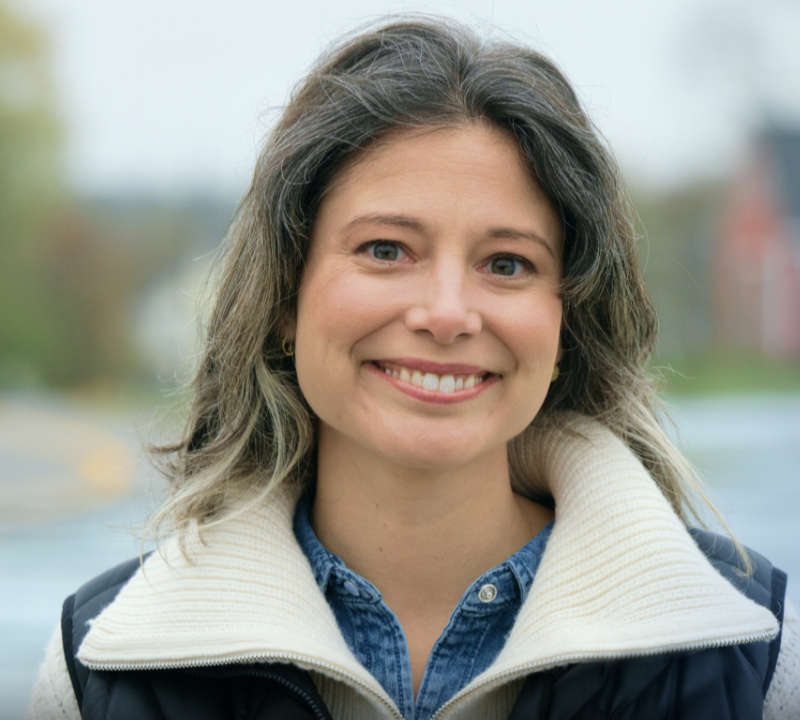 Goodlander Throws Hat - And Maiden Name - Into Dem Primary Ring - NH Journal
