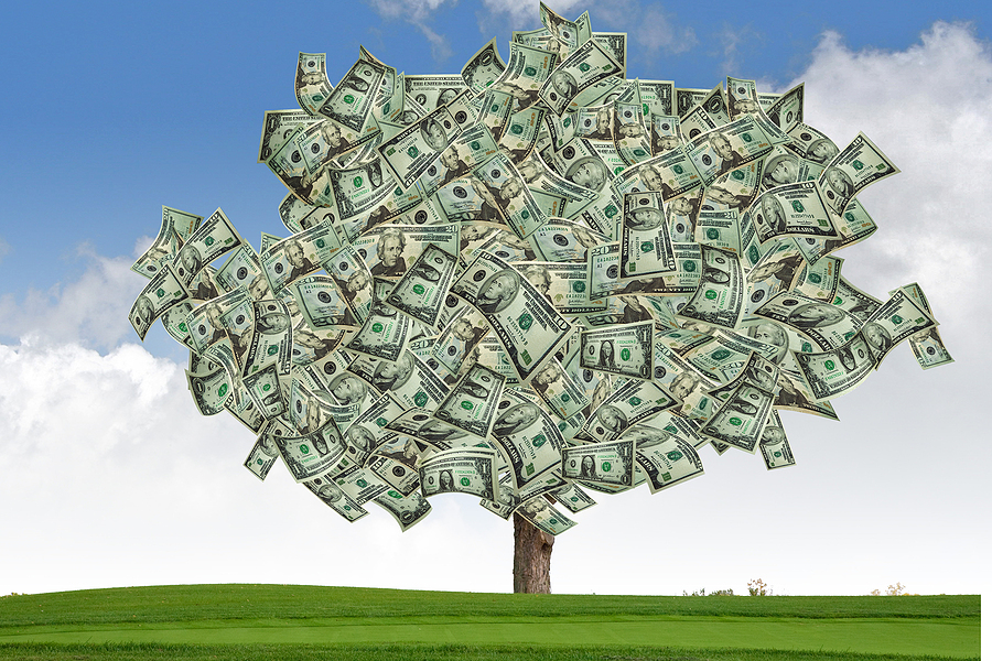 INNIS: Out-Of-State Companies Are Exploiting NH's Timber Tax - NH Journal