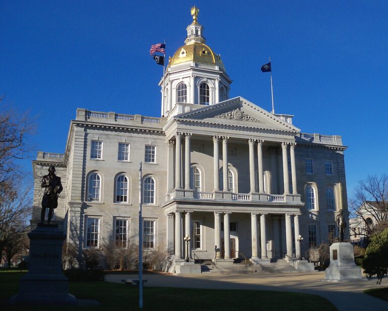OSBORNE: Why I Am Running For Speaker of the House - NH Journal